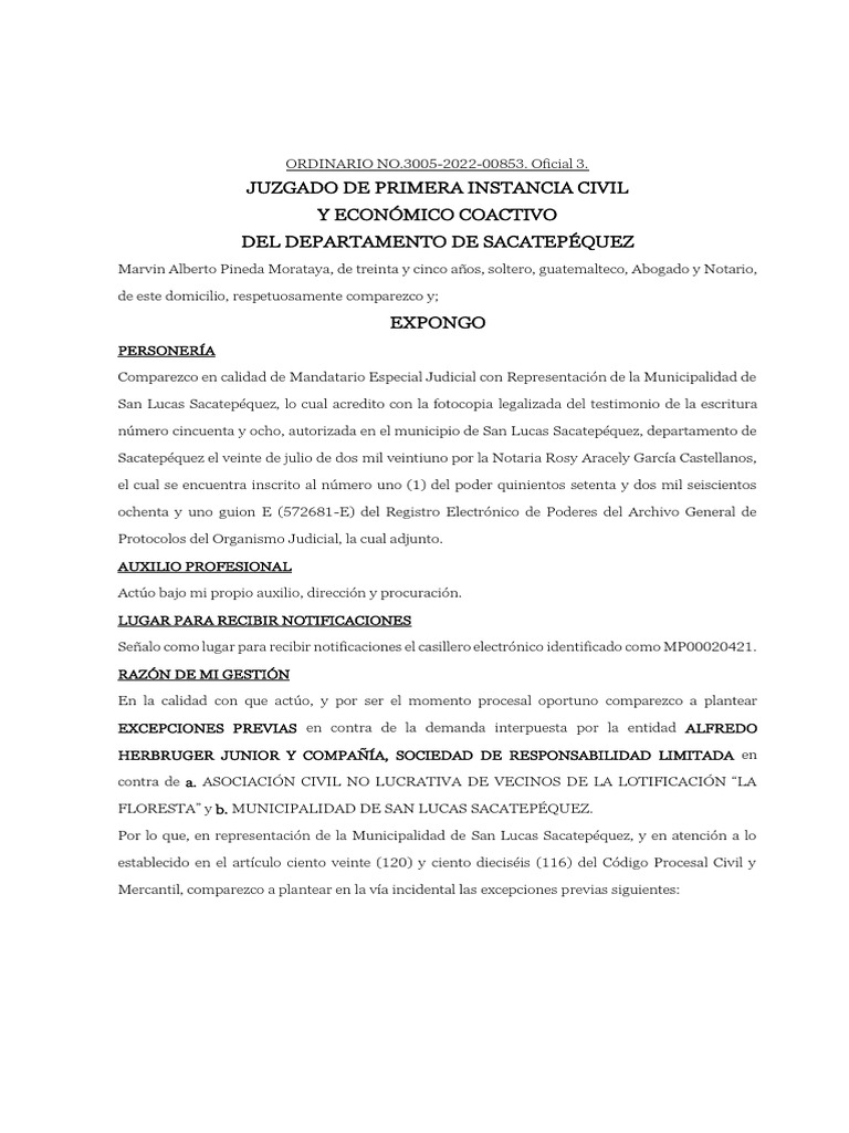Ejemplo de Excepciones Previas | PDF | Demanda judicial | Propiedad