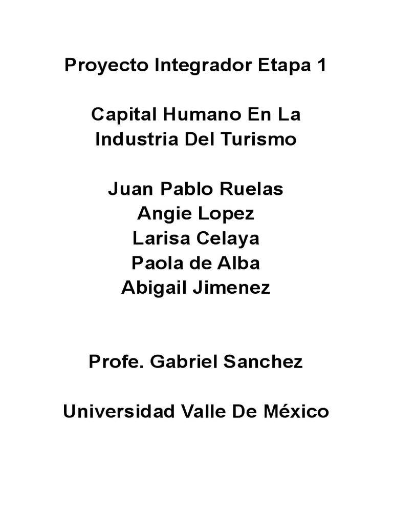 Proyecto Integrador Etapa 1 | PDF