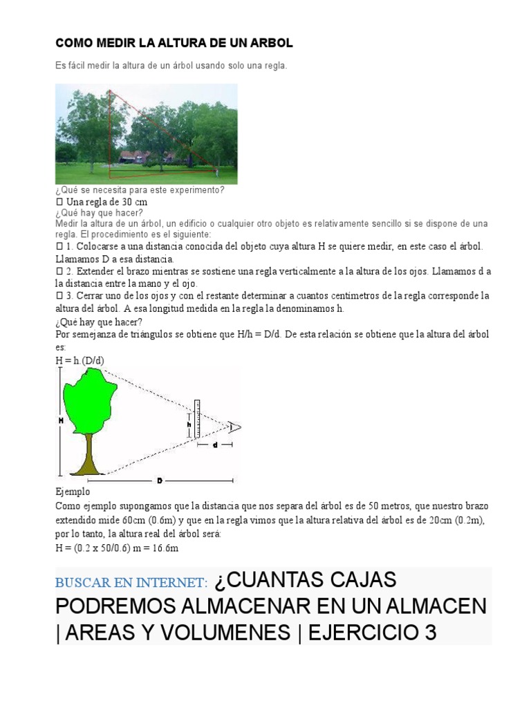 Cómo medir la altura de un árbol de forma sencilla | PDF | Enseñando | Aprendizaje