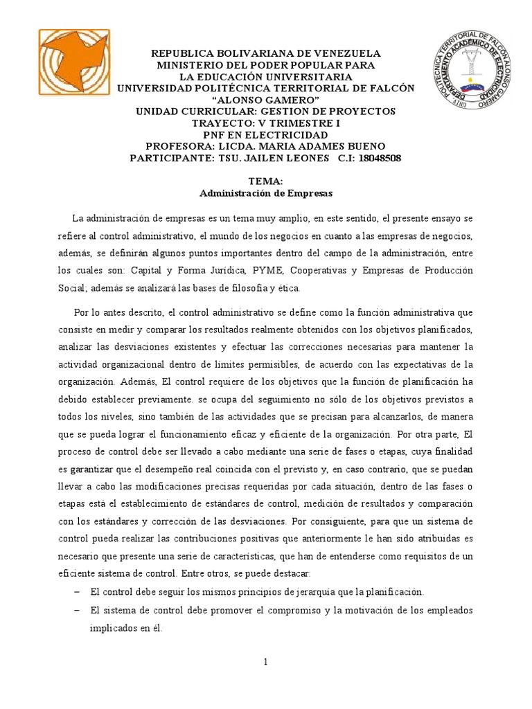 MODELO DE FORMATO DE ENSAYO 2 PNFE Obj 8y9 | PDF | Pequeñas y medianas ...