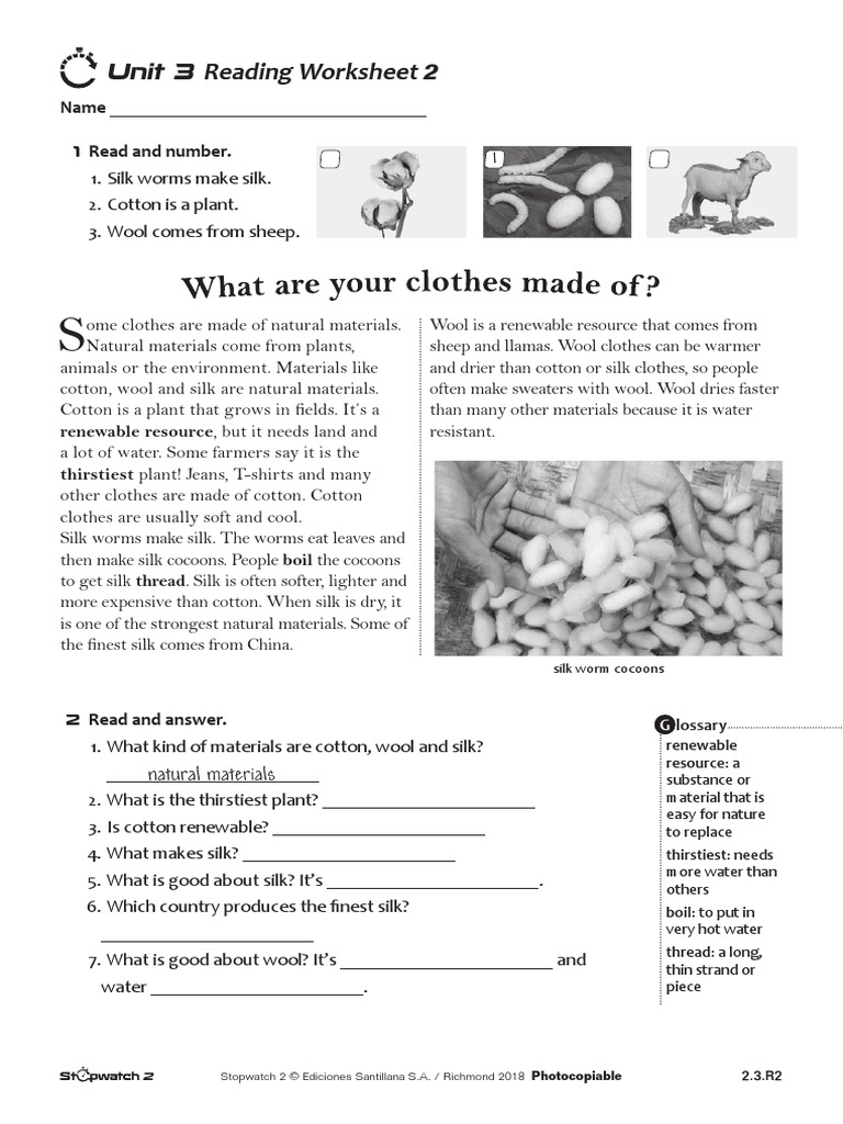 Reading Worksheet: Unit 3 2 | PDF | Wool | Silk