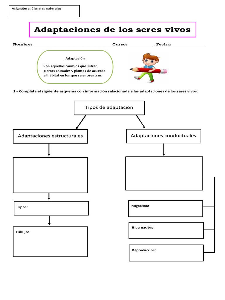 Guía Adaptaciones de Los Seres Vivos 4° Basico | PDF | Ecosistema ...
