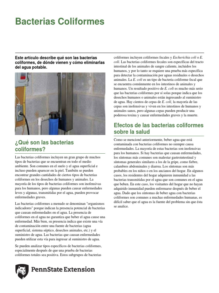 Bacterias Coliformes | PDF | Agua | Las bacterias
