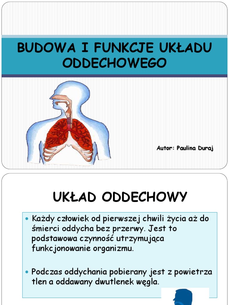 Temat NR 7 Budowa I Funkcje Ukc582adu Oddechowego | PDF
