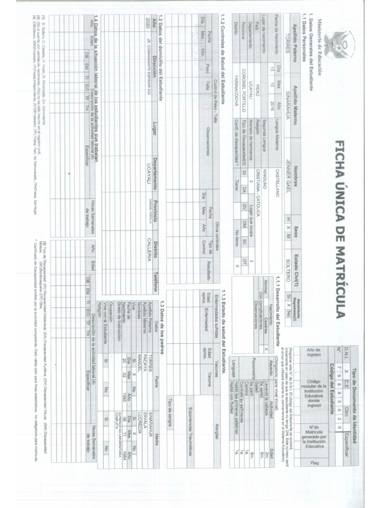 MANUEL | PDF