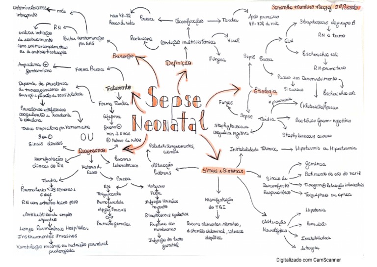 Sepse Neonatal | PDF