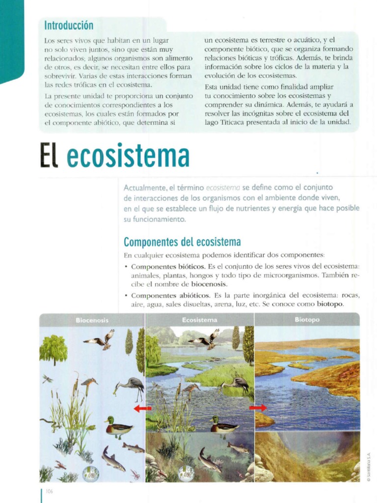 COMPONENTES DEL ECOSISTEMA | PDF