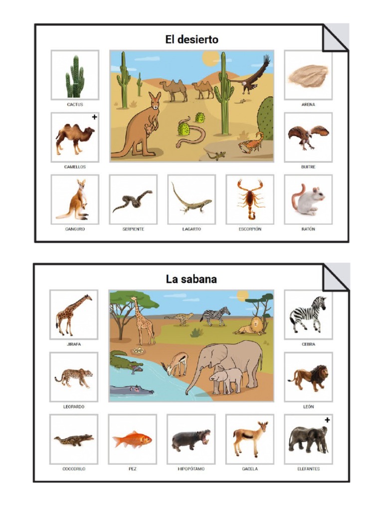 Animales Segun Su Habitat | PDF