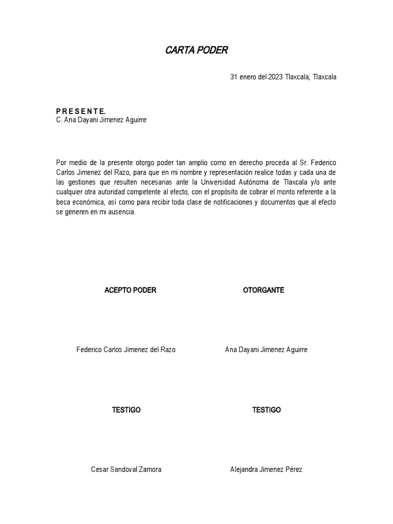 Carta Poder 1 | PDF