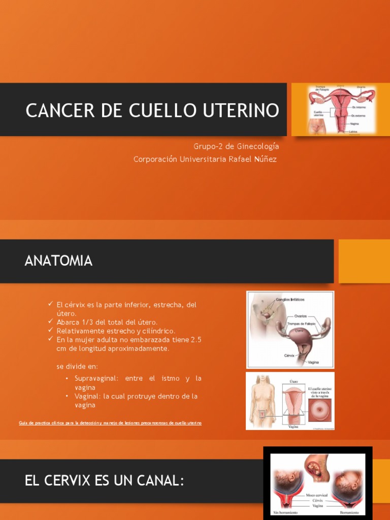 Cancer de Cuello Uterino | PDF | Cáncer de cuello uterino | Cáncer