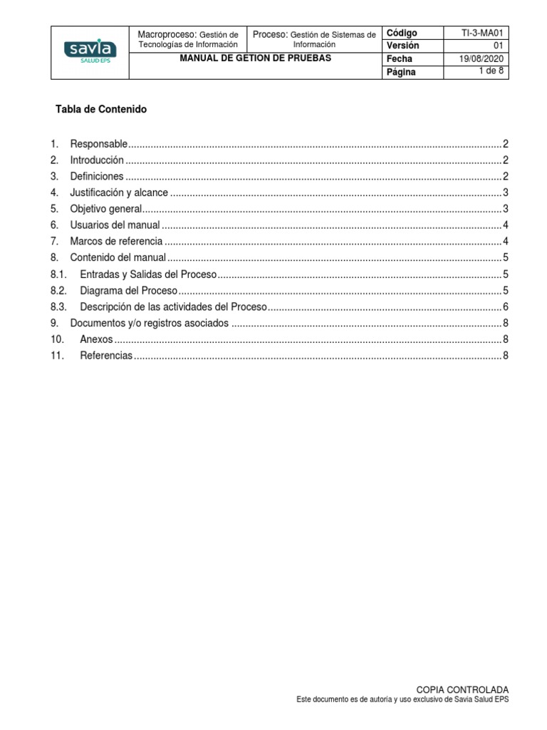 TI-3-MA01 Manual de Gestion de Pruebas | PDF | Software | Programa de computadora