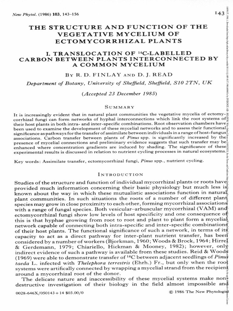 New Phytologist - May 1986 - FINLAY - THE STRUCTURE AND FUNCTION OF THE ...