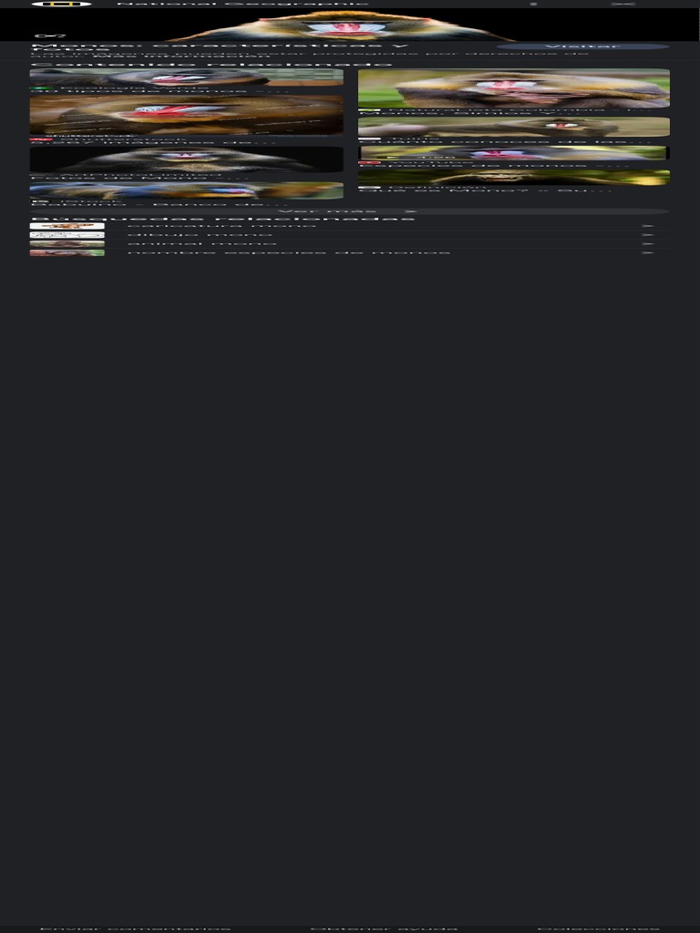 Searchq Mono&rlz 1CDGOYI - enAR1026FR1026&hl Es&prmd Ivmn&sxsrf AJOqlzW cIFEVlaK9u0XoB9K9pCdh ...