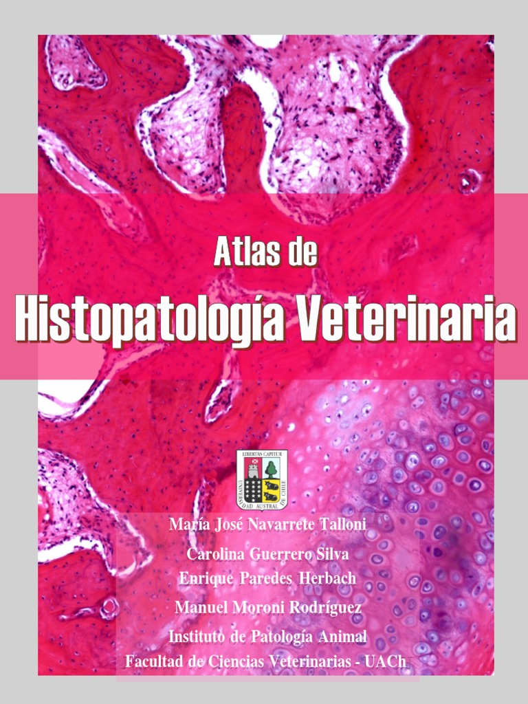 Atlas Histopatologia Veterinaria PANI142 | PDF | Músculo | Riñón Atlas Histopatologia Veterinaria PANI142 | PDF | Músculo | Riñón