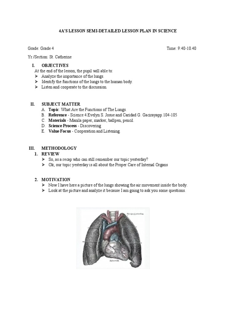 Semi Detailed Lesson Plan | PDF | Lung | Exhalation