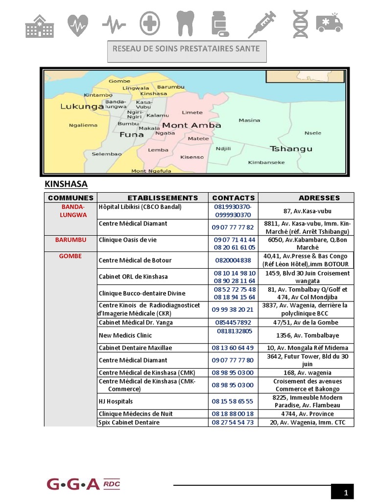 Reseau Global Gga RDC PDF | PDF | Kinshasa | Soins de santé