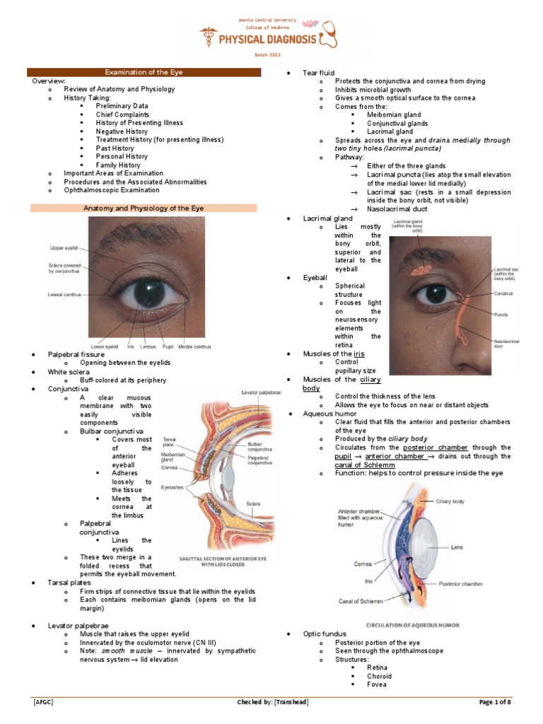 PD - Examination of The Eye | PDF | Human Eye | Visual System