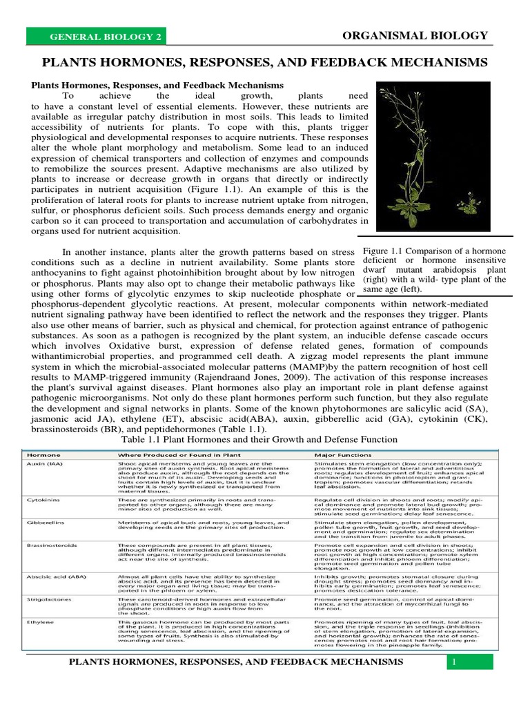 Plant Hormones and Growth Mechanisms | PDF | Plant Hormone | Gene