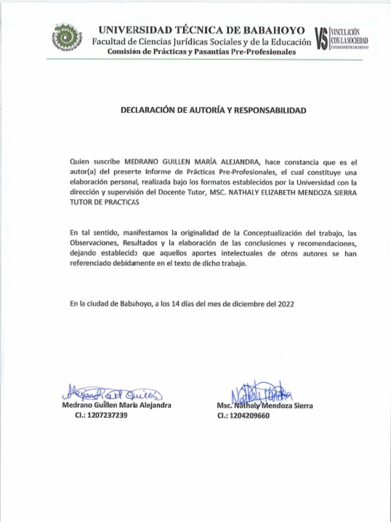 Iv. Carta de Autoria | PDF