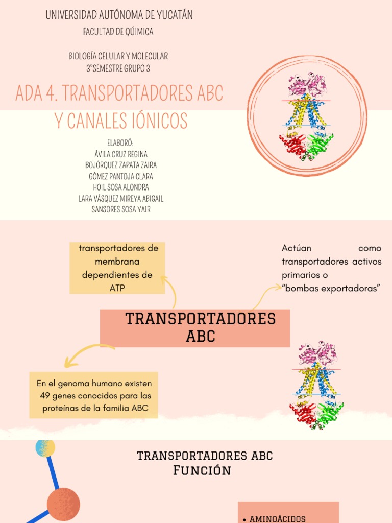 Transportadores Abc y Canales Ionicos | PDF | Biología Celular | Bioquímica