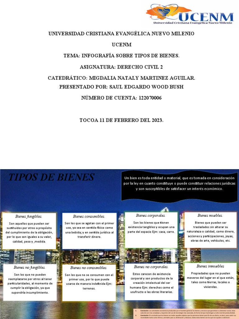 Infografia Tipos de Bienes - Saul Wood - 122070006 - 1. | PDF | Bienes ...