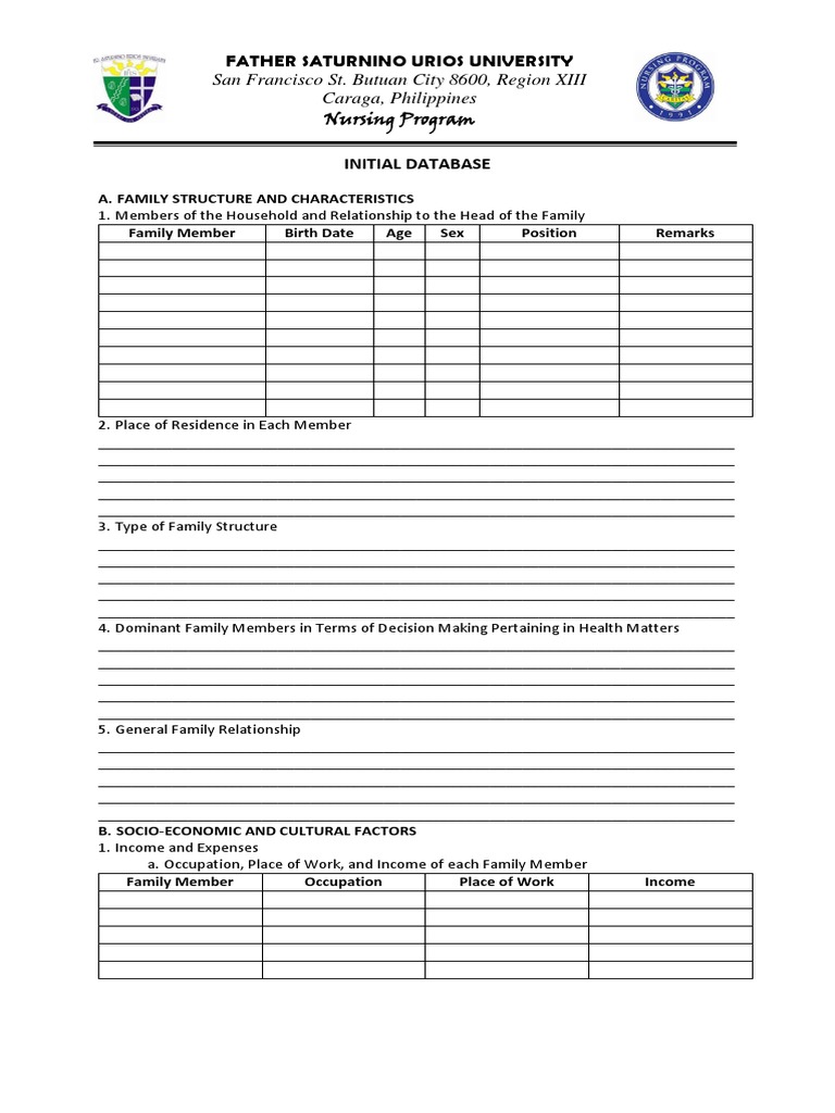 CHN Initial Data Base | PDF | Health Care | Health Sciences