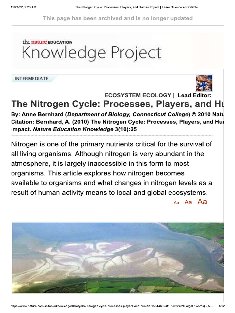 Benhard (2010) nitrogen cycle | PDF