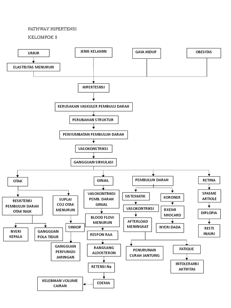 Pathway Hipertensi | PDF