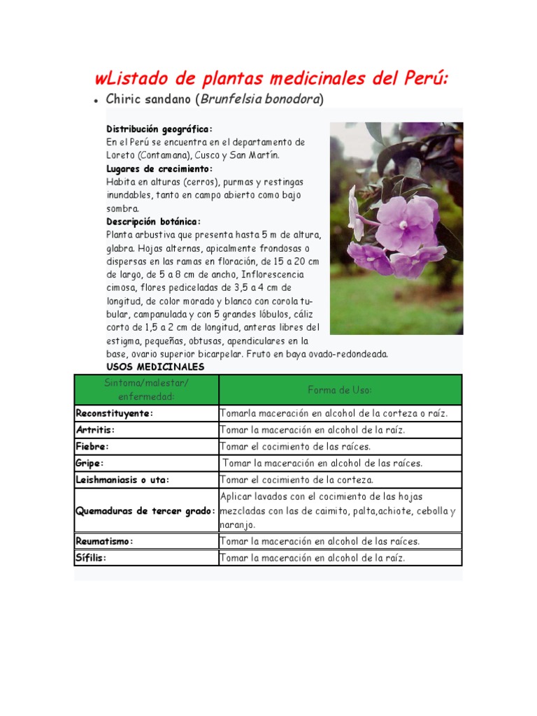 Listado de Plantas Medicinales Del Perú | PDF | Hoja | Plantas