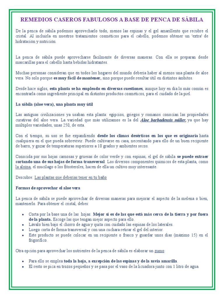 Remedios Caseros con Penca de Sábila | PDF | Limonada
