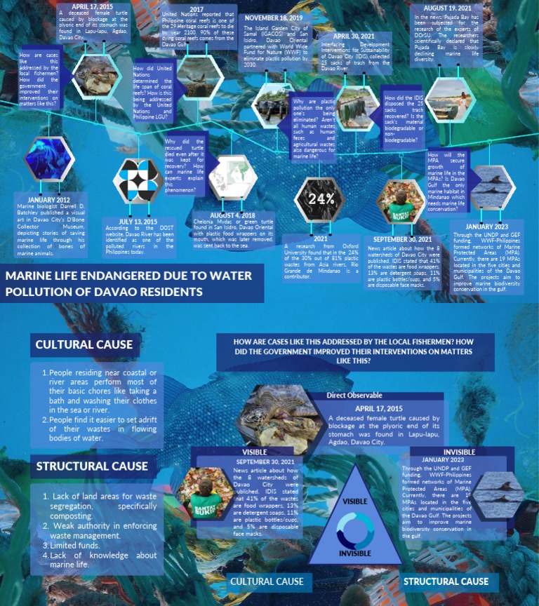 Marine Life Endangered Due To Water Pollution of Davao Residents | PDF ...