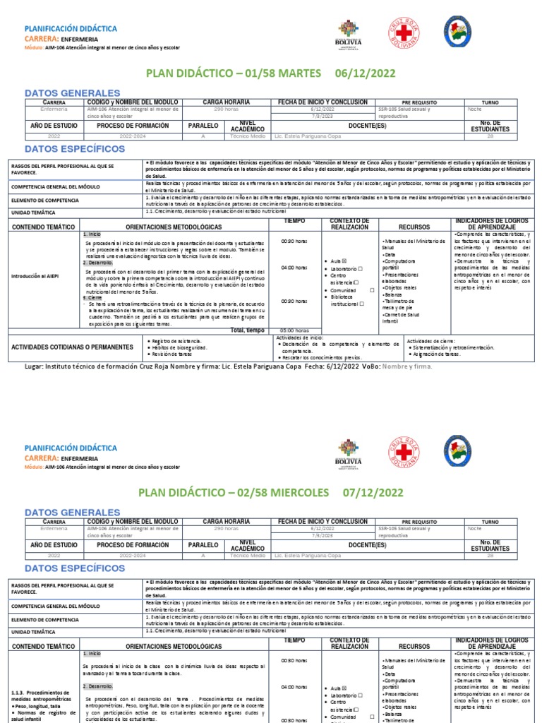 Plan Didáctico TN A 3 | PDF | Evaluación | Enfermería