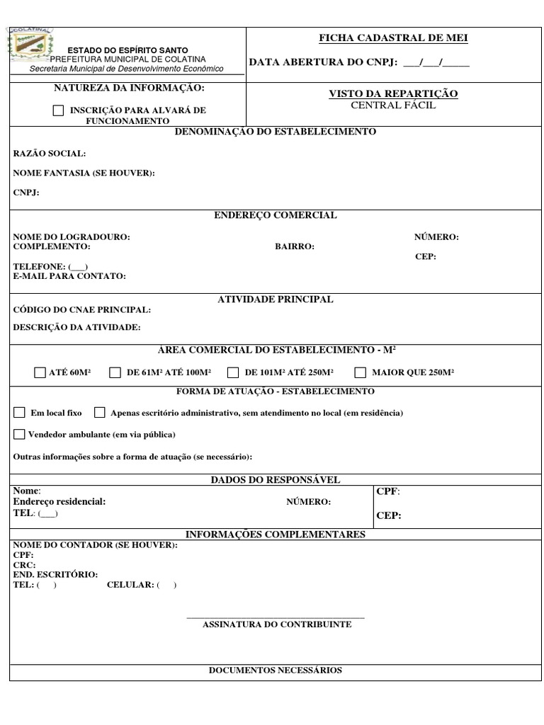 Ficha Cadastral Do MEI | PDF