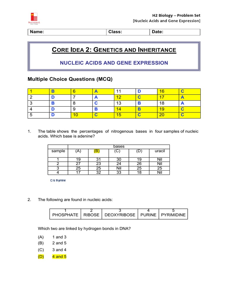 2022 Nucleic Acid and Gene Expression Problem Set (Teacher) | PDF | Dna ...