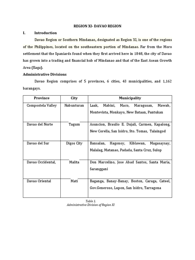 Region 11 | PDF