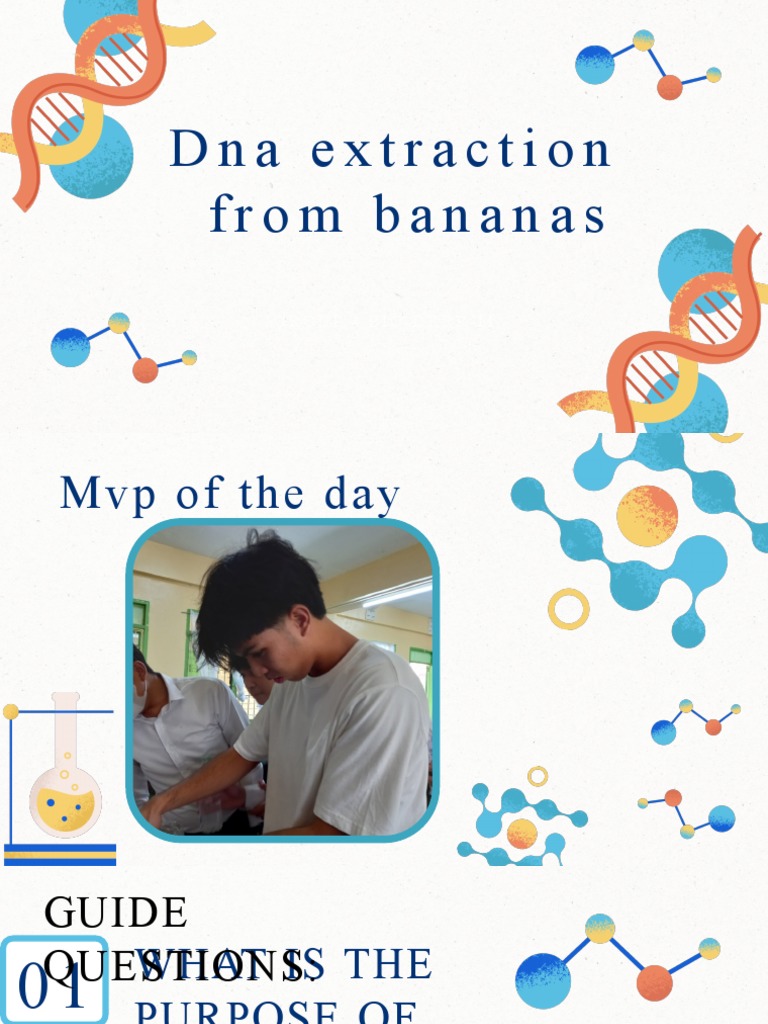 Dna Extraction From Bananas: Group 4 Bio-Drrr-M | PDF | Cell (Biology ...