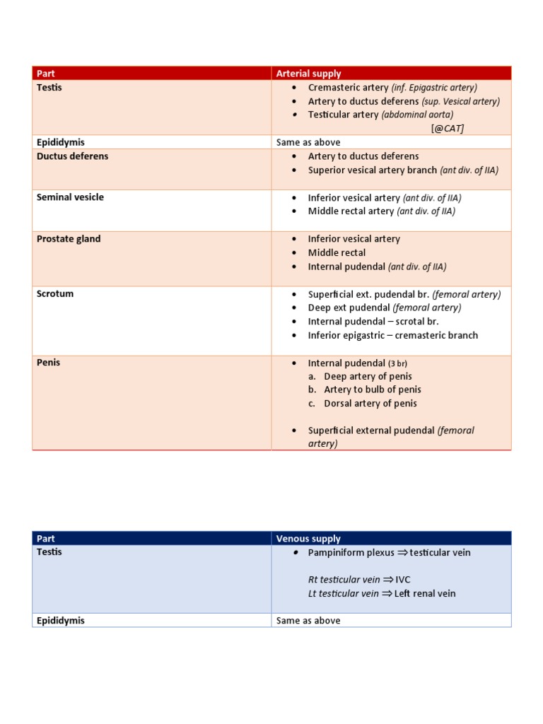 Blood Supply Repro Pdf Uterus Vein