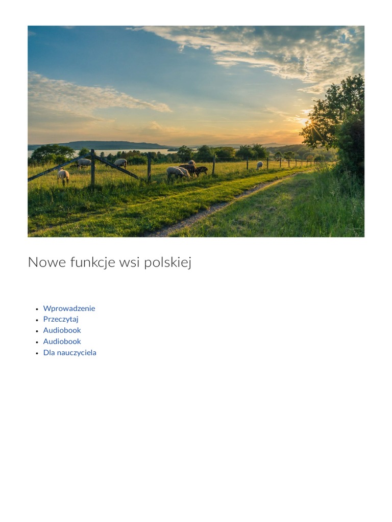Nowe Funkcje Wsi Polskiej PDF | PDF