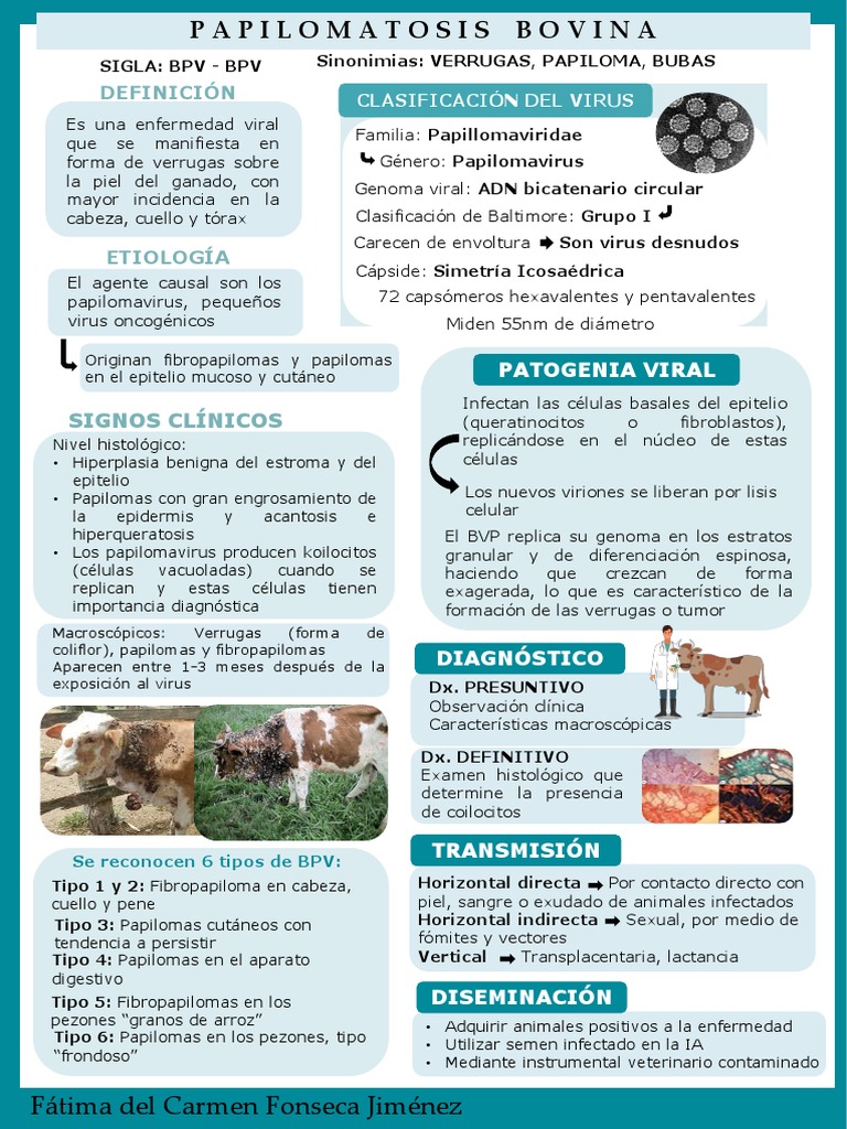Papilomatosis Bovina Virus Y Tratamiento Pdf Virus