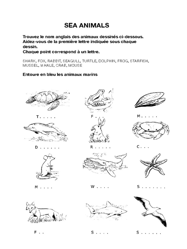 Sea Animals | PDF