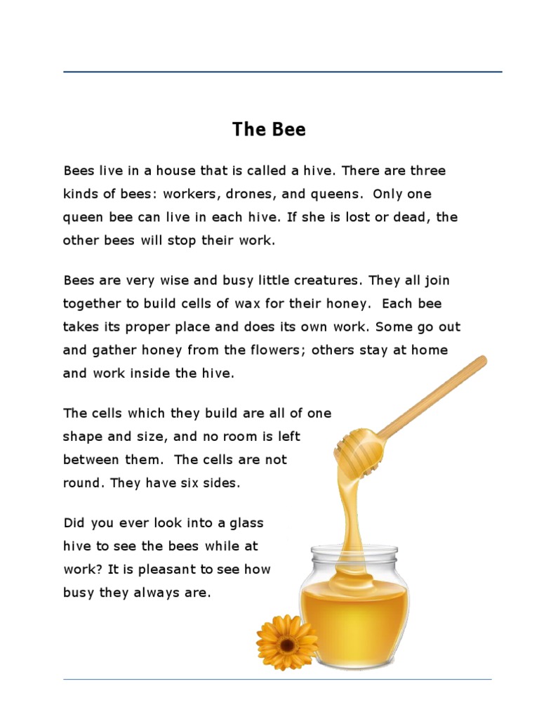 Grade 3 Story Bees | PDF