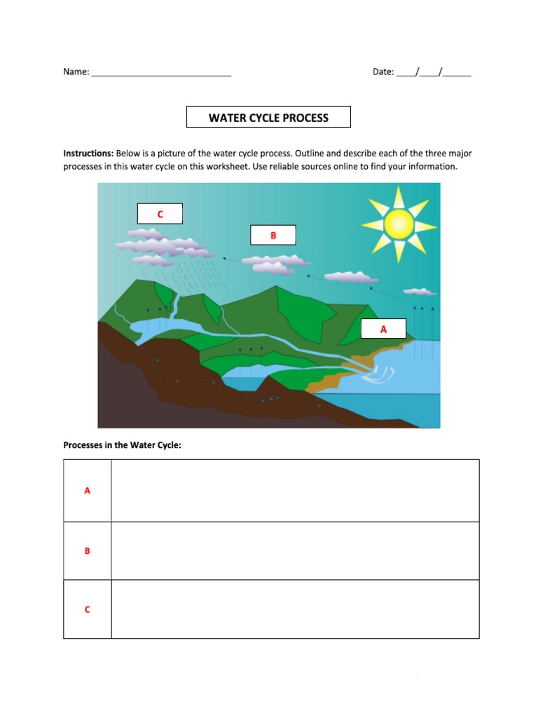 3.1 Water Cycle Process Worksheet | PDF