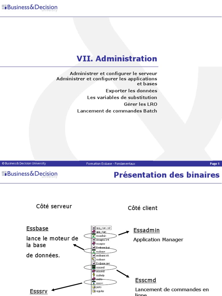 Chapitre 07 - Essbase Administration | PDF | Logiciel système | Gestion des données