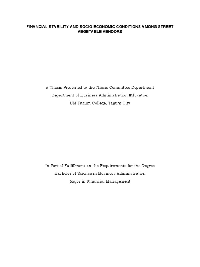 Financial Stability and Socioeconomic Conditions of Street Vendors ...