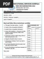 Ple Time Table - 2025 | PDF