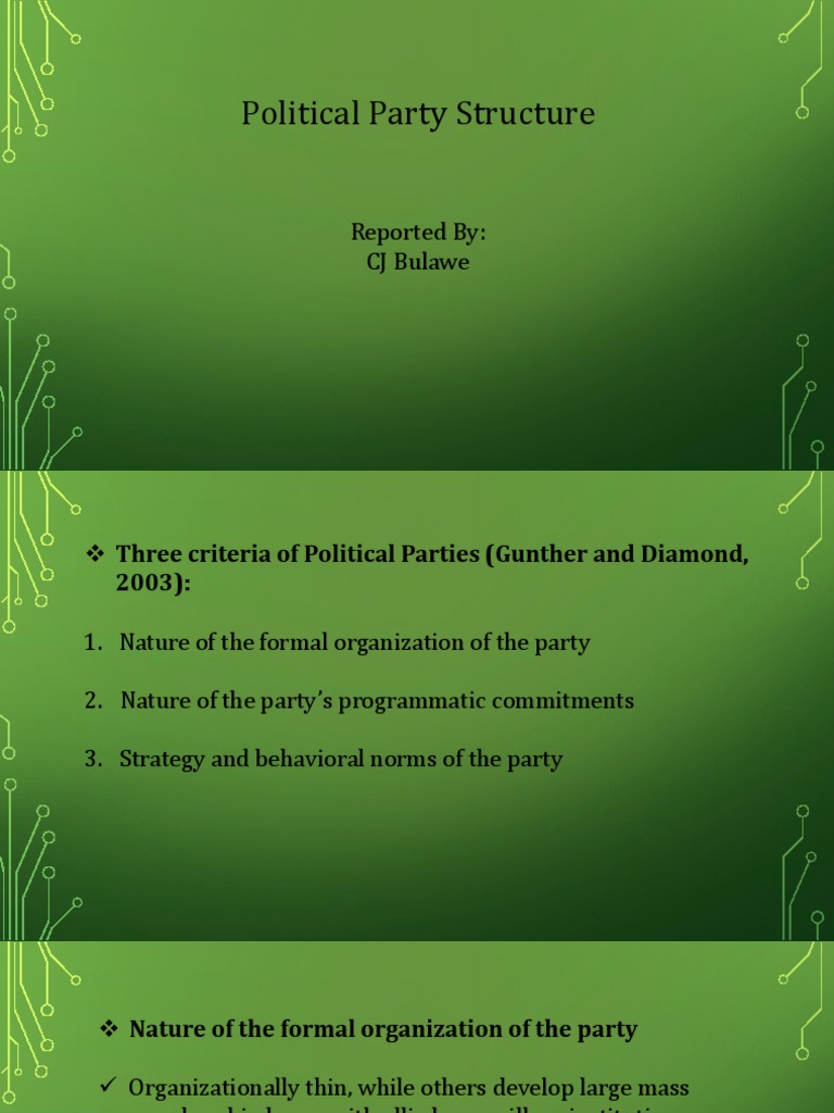 Mass and Cadre | PDF | Political Parties | Suffrage
