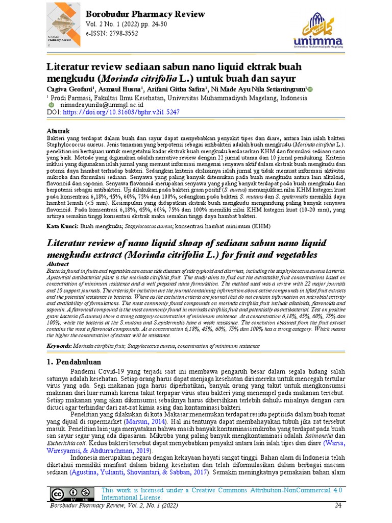 5247-Article Text-25513-2-10-20221206 | PDF