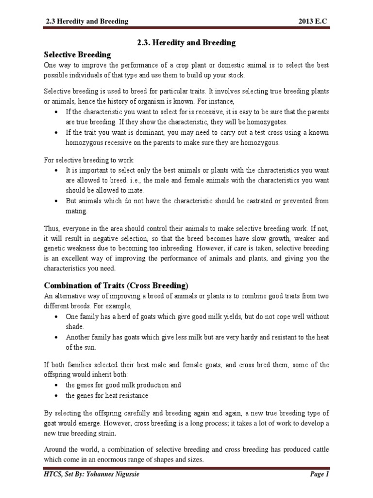 Selective Breeding in Agriculture | PDF | Selective Breeding | Cattle