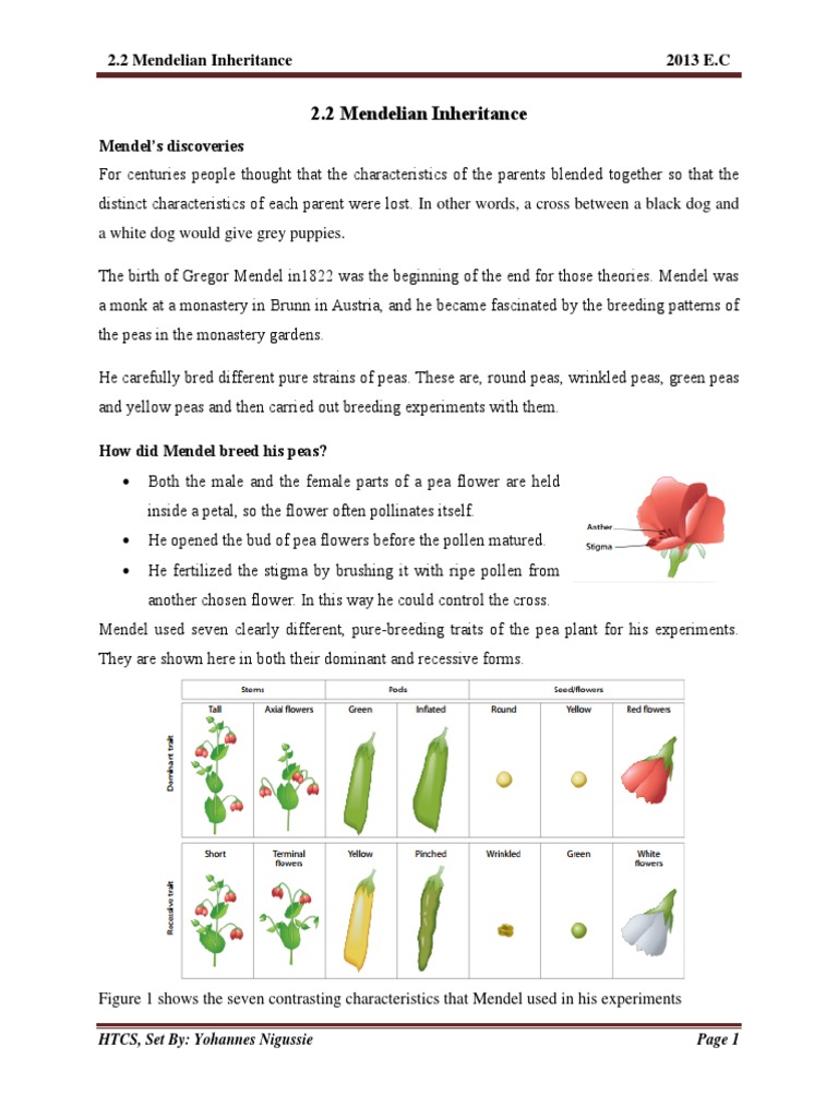 Exploring Mendelian Inheritance: Genetic Principles of Heredity and ...
