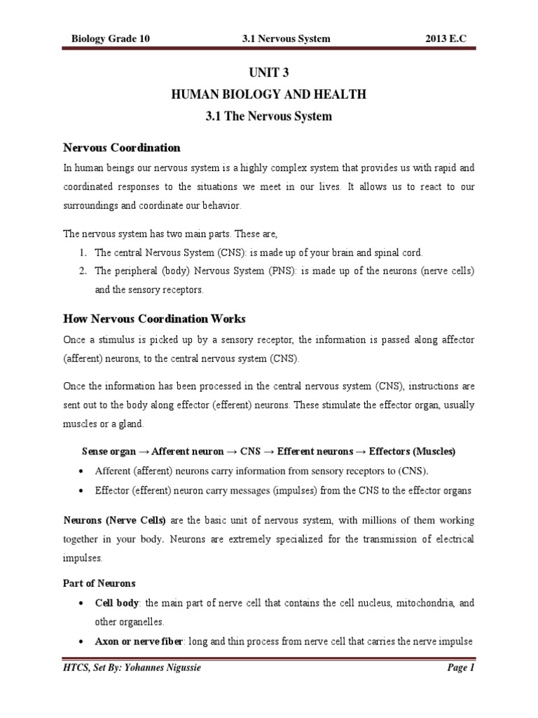 Grade 10 Nervous System Guide | PDF | Nervous System | Neuron